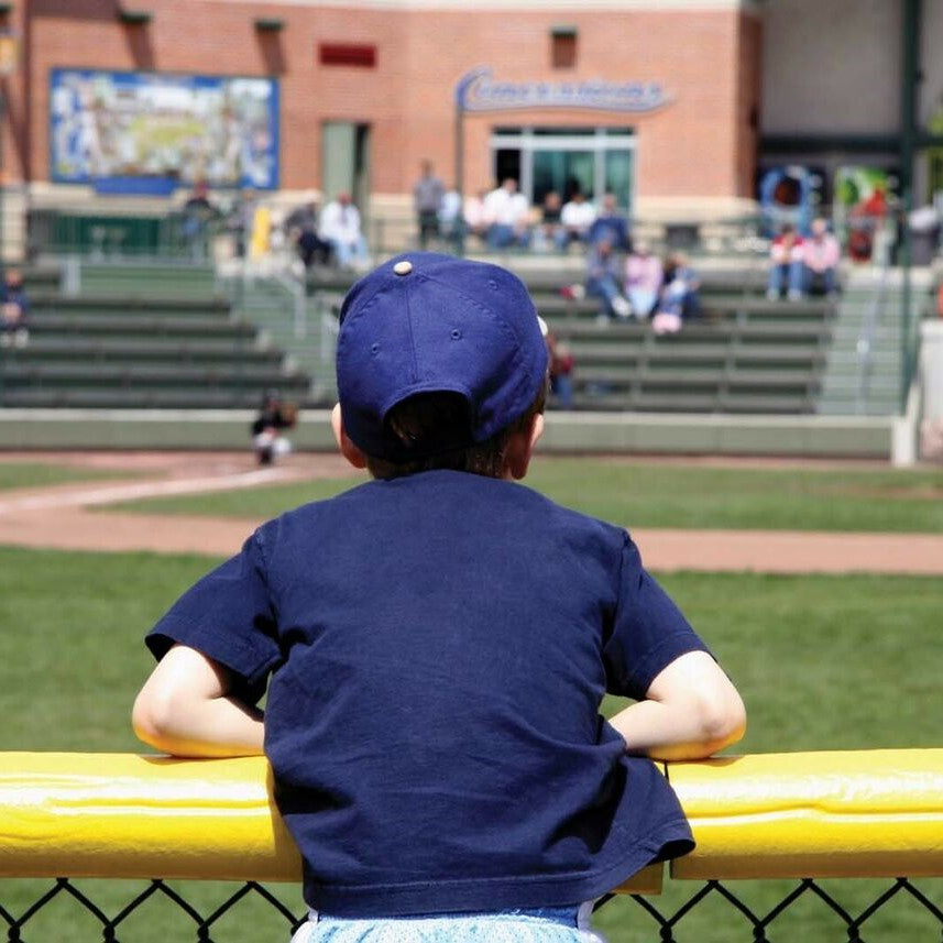 SafeFoam™ Premium Baseball Field Fence Padding | HittingWorld.com